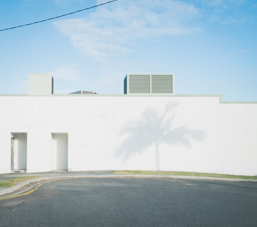 Shadow #1 - Plexus Gallery