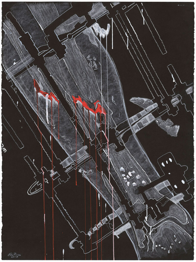 Leg Xray - Plexus Gallery