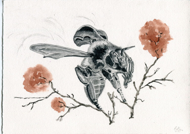 Bee Landing - Plexus Gallery