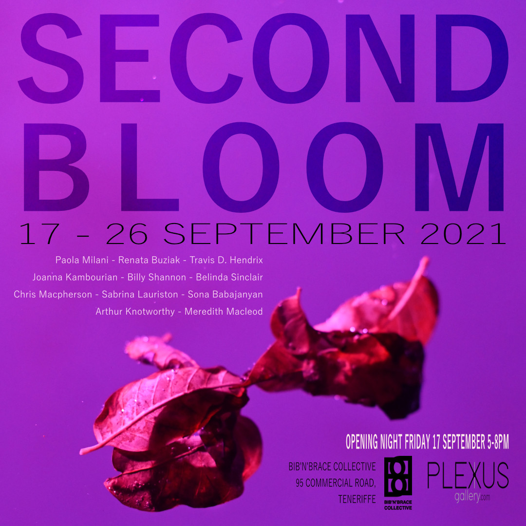 Second Bloom - Plexus Gallery